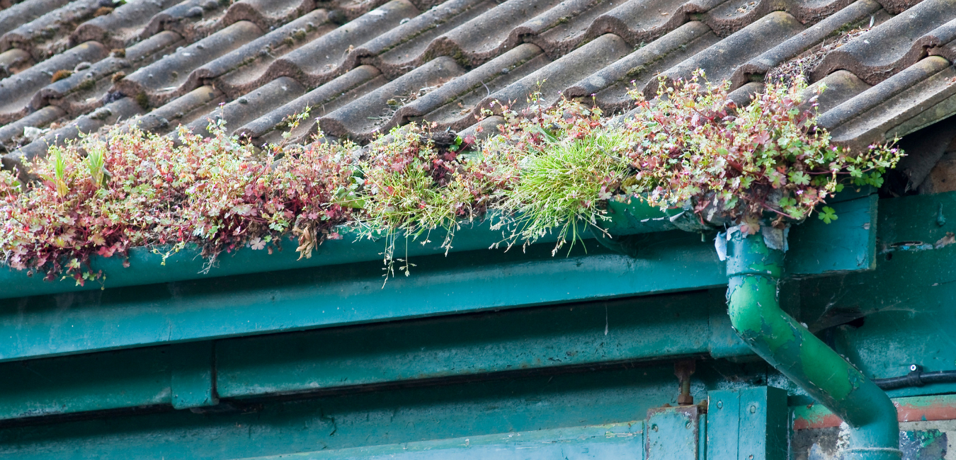 Dakgoten zijn noodzakelijk bij de installatie van een regenwatertank
