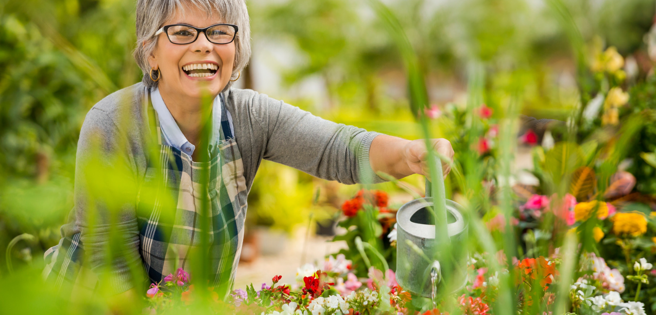 Regenwater opvangen in sierteeltbedrijven